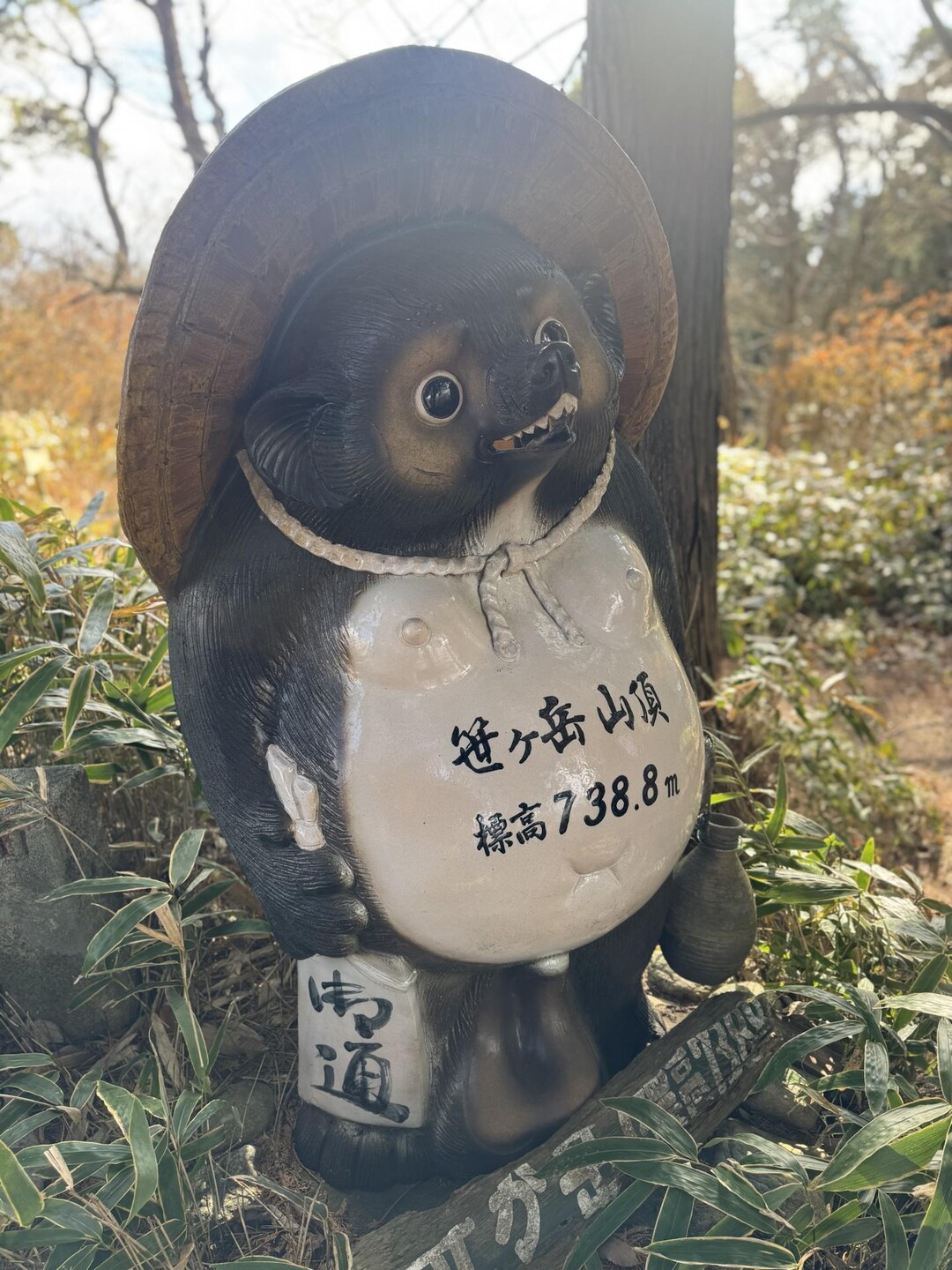 笹ヶ岳＆雨乞岩 / mizu*kaさんの笹ヶ岳の活動データ | YAMAP / ヤマップ