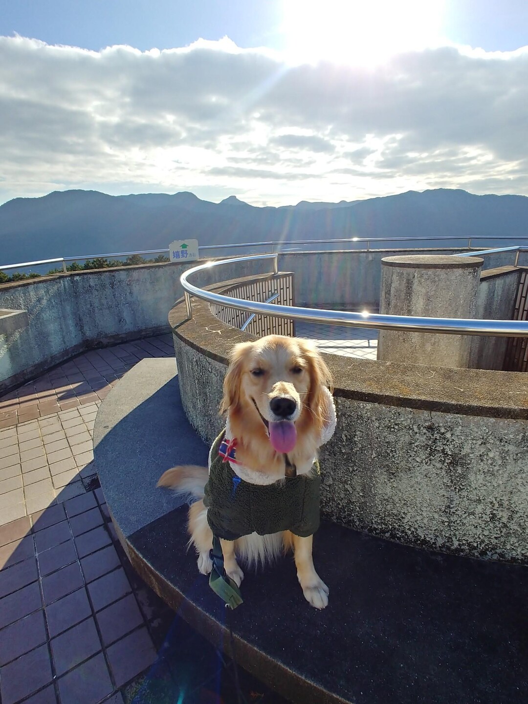 鴻ノ巣山・二ッ岳・弘法岳 / marupaさんの鴻ノ巣山の活動データ | YAMAP / ヤマップ