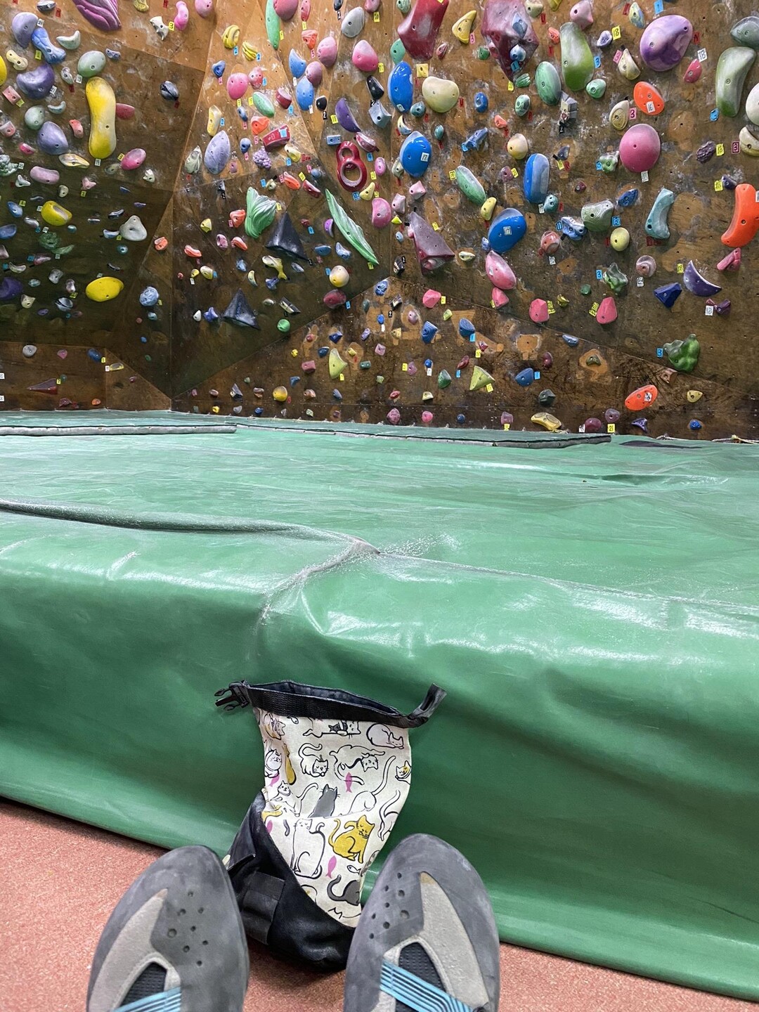 半年ぶりのよじよじ 身体おっもーーー💦... / ルナさんのモーメント | YAMAP / ヤマップ