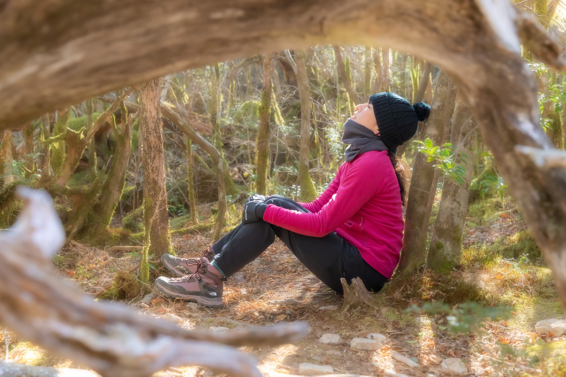 工石山で撮影したポートレートです。 フレ... / やまゆう@しこぐらさんのモーメント | YAMAP / ヤマップ