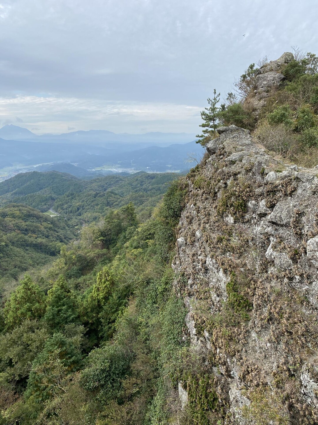 田原山(鋸山)(国東) / em1209さんの田原山（鋸山）の活動データ | YAMAP / ヤマップ
