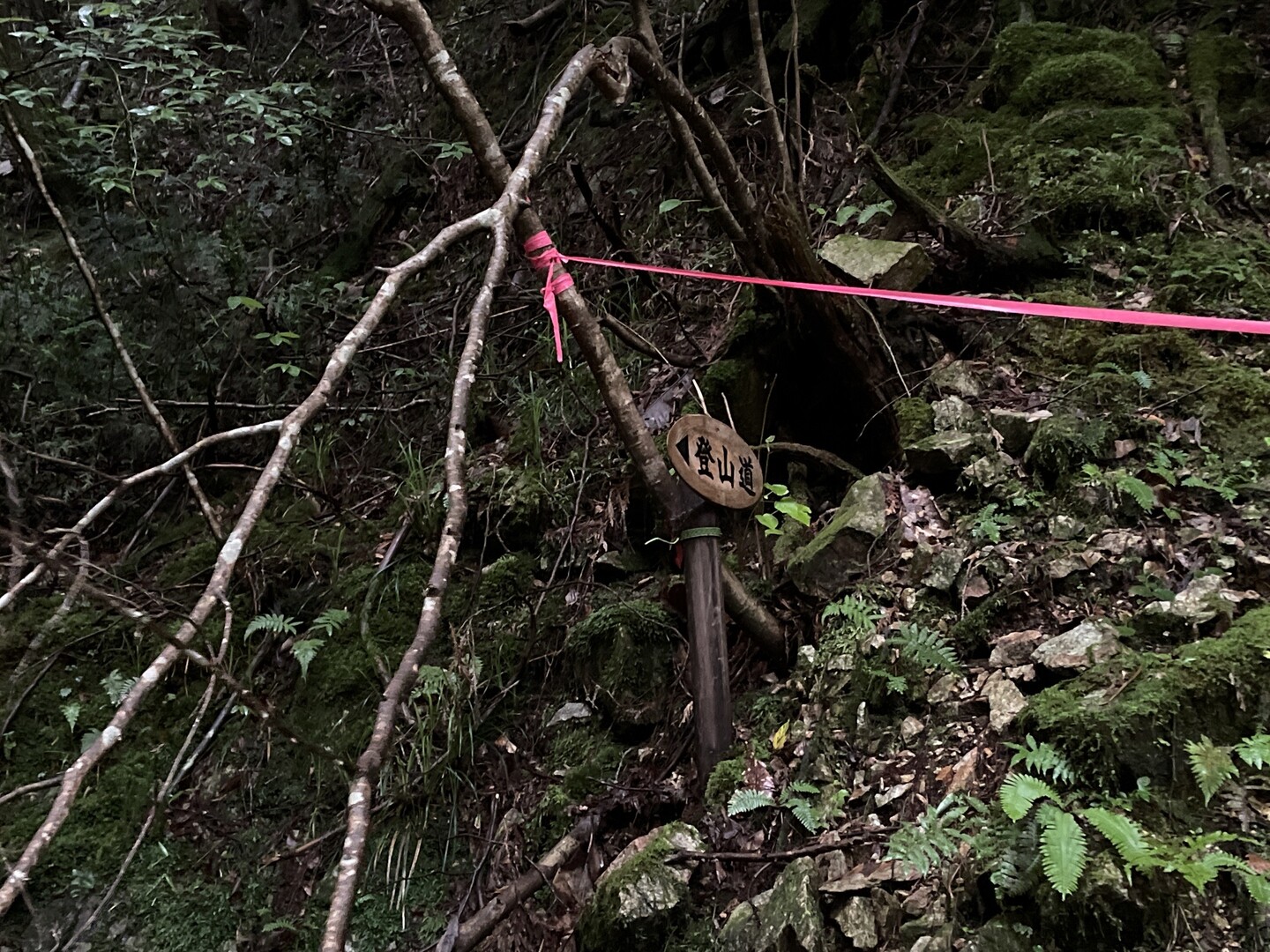 osamさんの投稿したフィールドメモ | YAMAP / ヤマップ