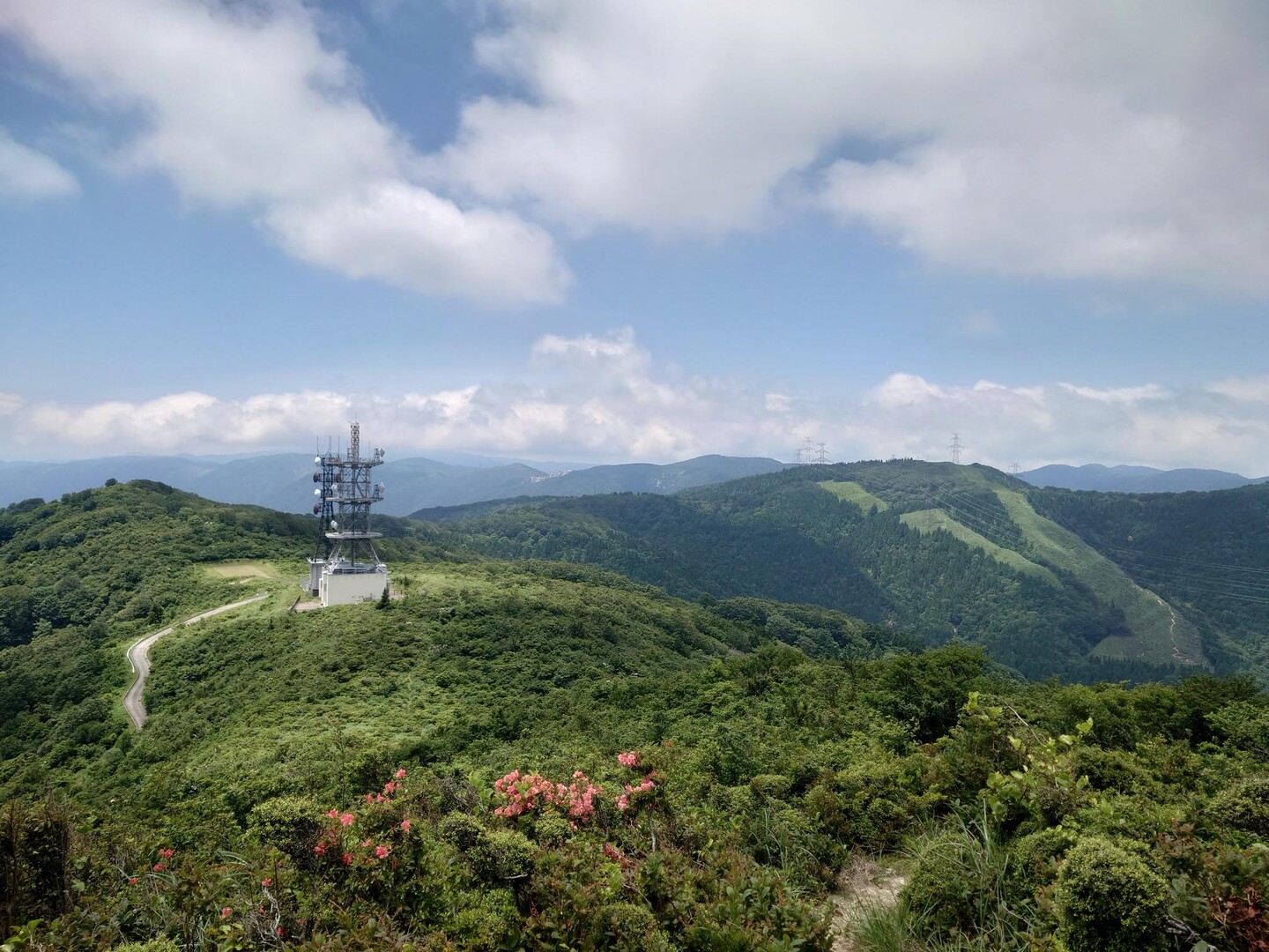 高島トレイル その1-2023-06-19 / motoさんの高島トレイル その1の活動日記 | YAMAP / ヤマップ