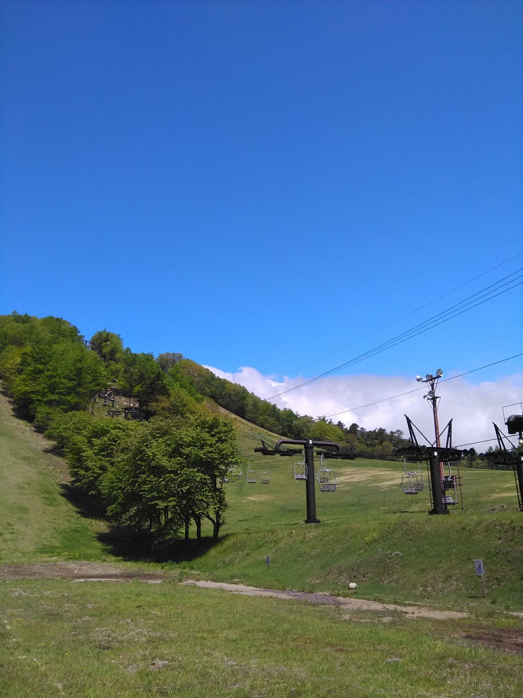 5月23日(月)登山の予定でしたが早朝、... / msjさんのモーメント | YAMAP / ヤマップ
