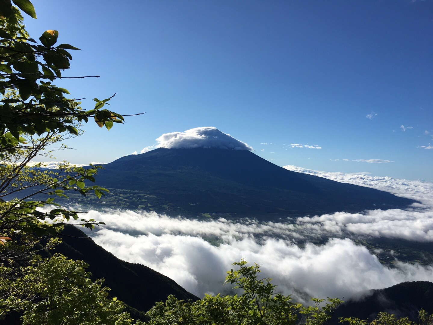 毛無山-2019-06-16 / Hase100さんの毛無山・雨ヶ岳・竜ヶ岳の活動データ | YAMAP / ヤマップ