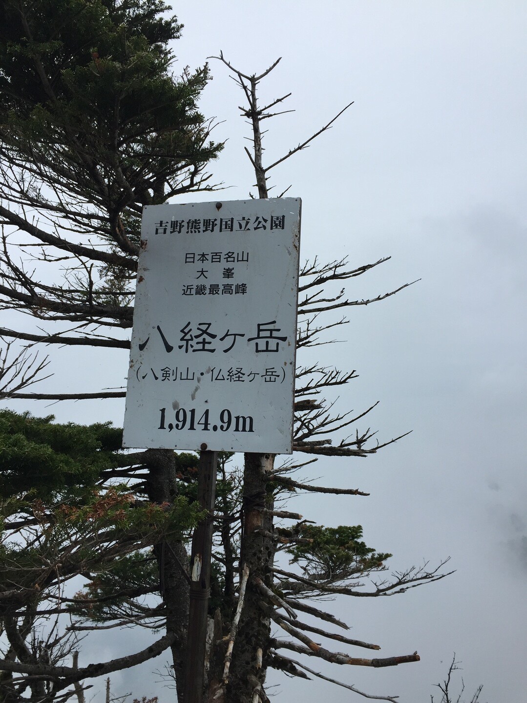 八経ヶ岳・弥山 / Toru 1968さんの八経ヶ岳の活動データ | YAMAP / ヤマップ