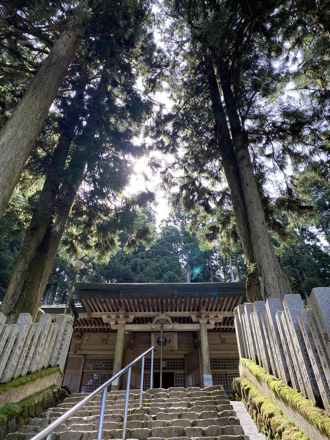 90回目の金剛山 / hidekixさんの金剛山・二上山・大和葛城山の活動データ | YAMAP / ヤマップ