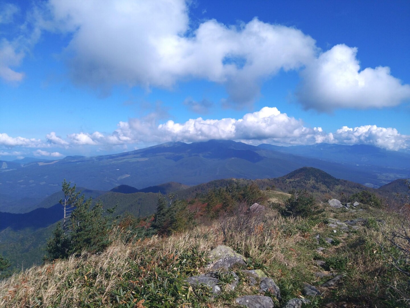 湯ノ丸山 / moneさんの湯ノ丸山・角間山・鍋蓋山の活動データ | YAMAP / ヤマップ