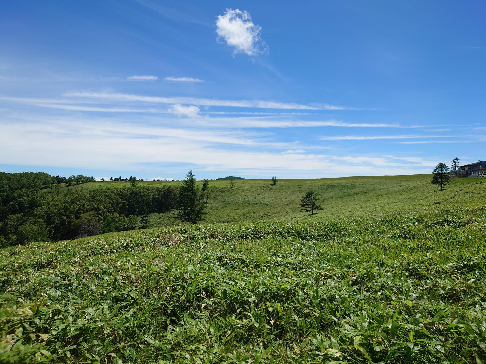 大パノラマ 美ヶ原トレッキング🥾 / Bobにゃんさんの美ヶ原の活動データ | YAMAP / ヤマップ