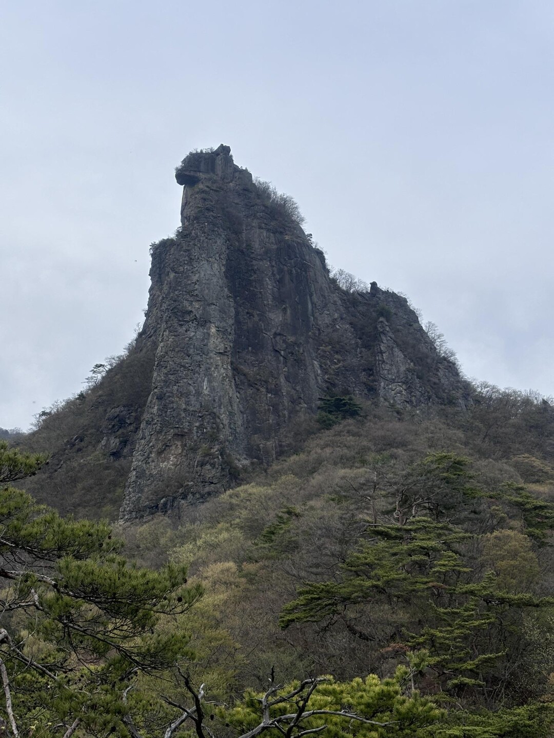 子持山・獅子岩 クライミング / ma34sさんの子持山の活動データ | YAMAP / ヤマップ