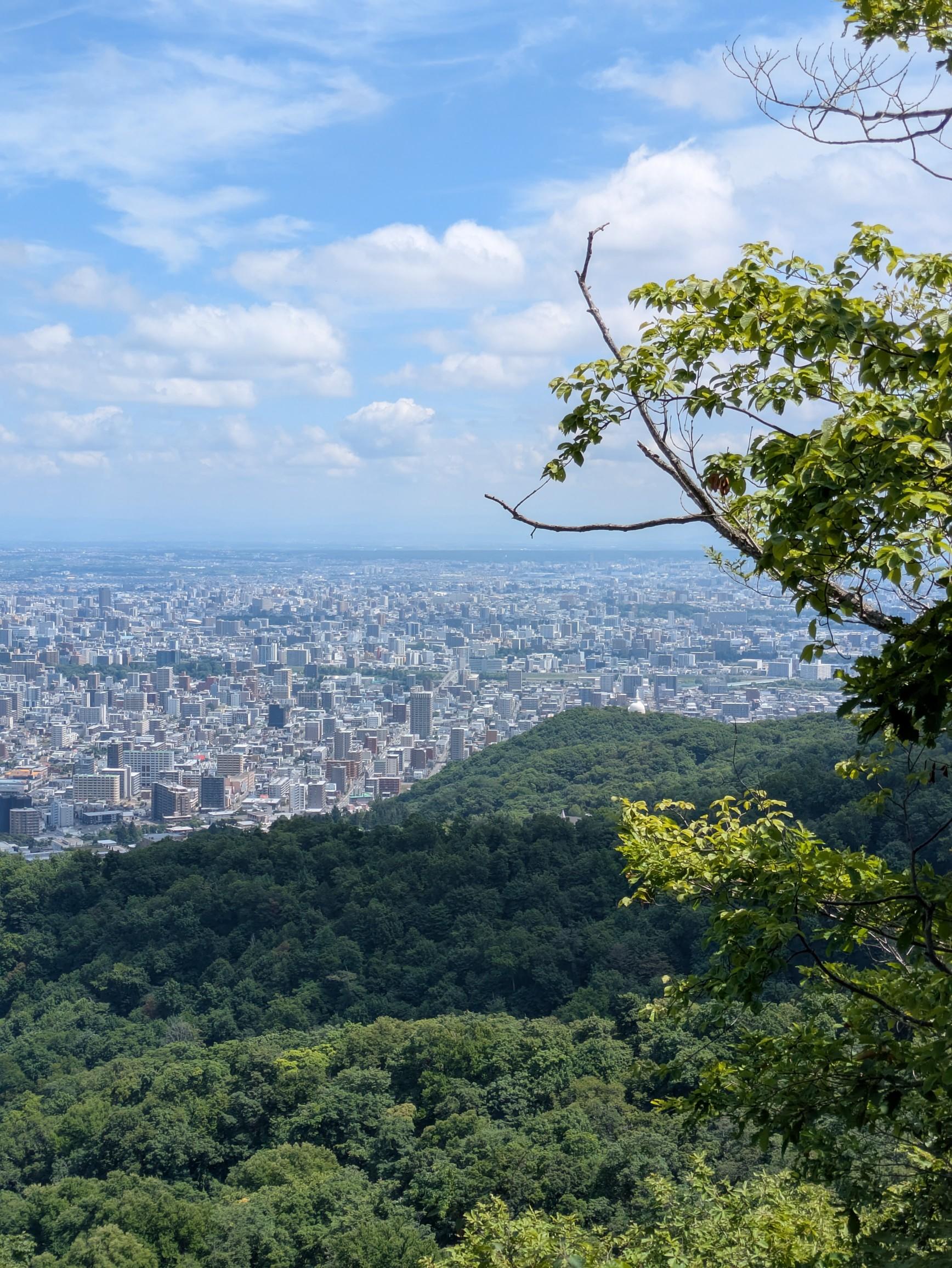 藻岩山、山鼻山トレーニング☀ / cocoaさんの藻岩山の活動データ | YAMAP / ヤマップ