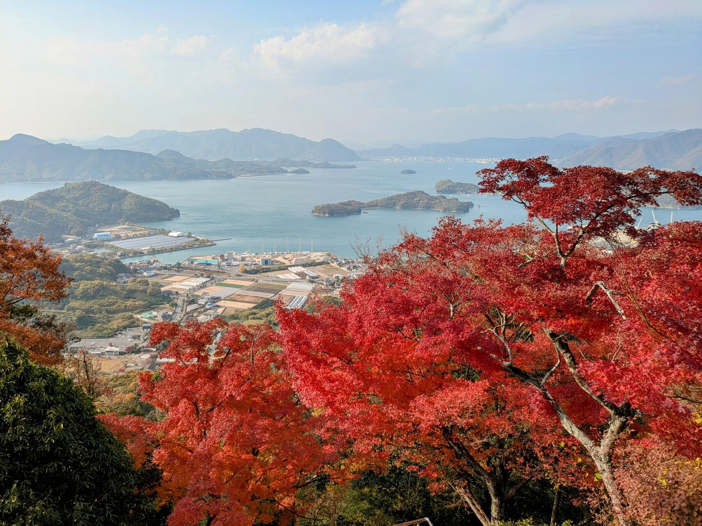 しまなみ忘年登山🍻 白滝山 / meru2209さんの青影山（城山）・奥山（観音山）の活動日記 | YAMAP / ヤマップ