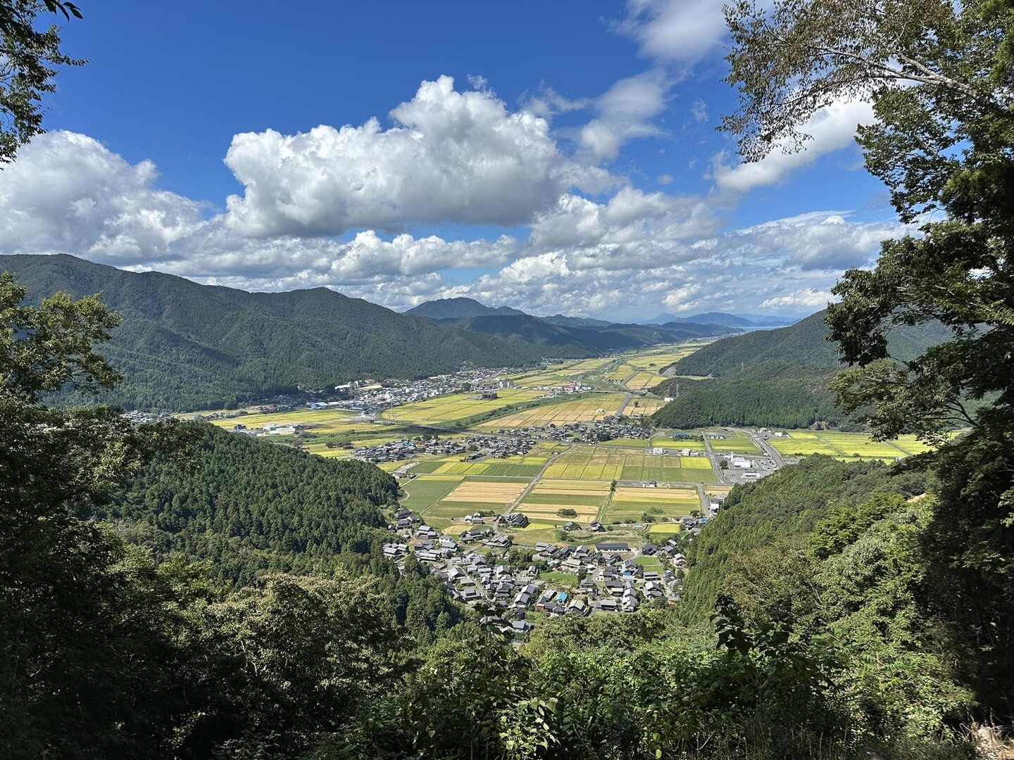 2023-09-05 膳部山 / yumieさんのウォーキングの活動データ | YAMAP / ヤマップ