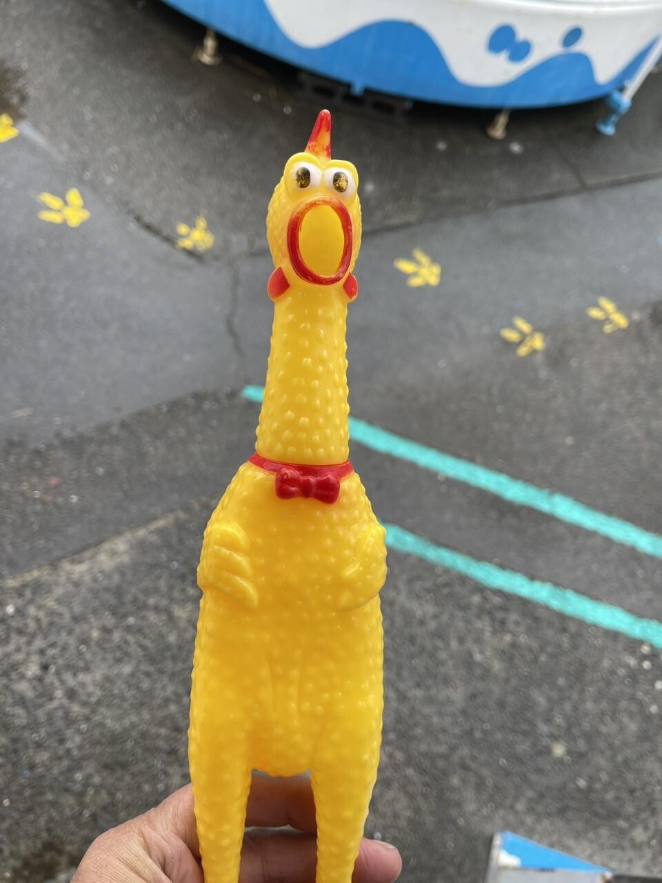 sakamon333のページ | YAMAP / ヤマップ