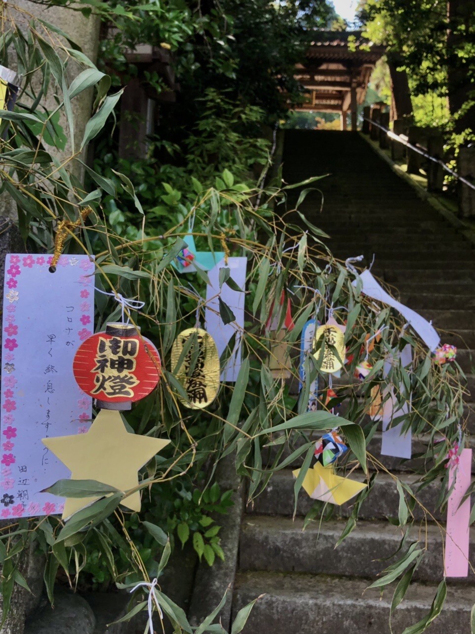 初夏の文殊 / mi_ma_68さんの文殊山の活動データ | YAMAP / ヤマップ