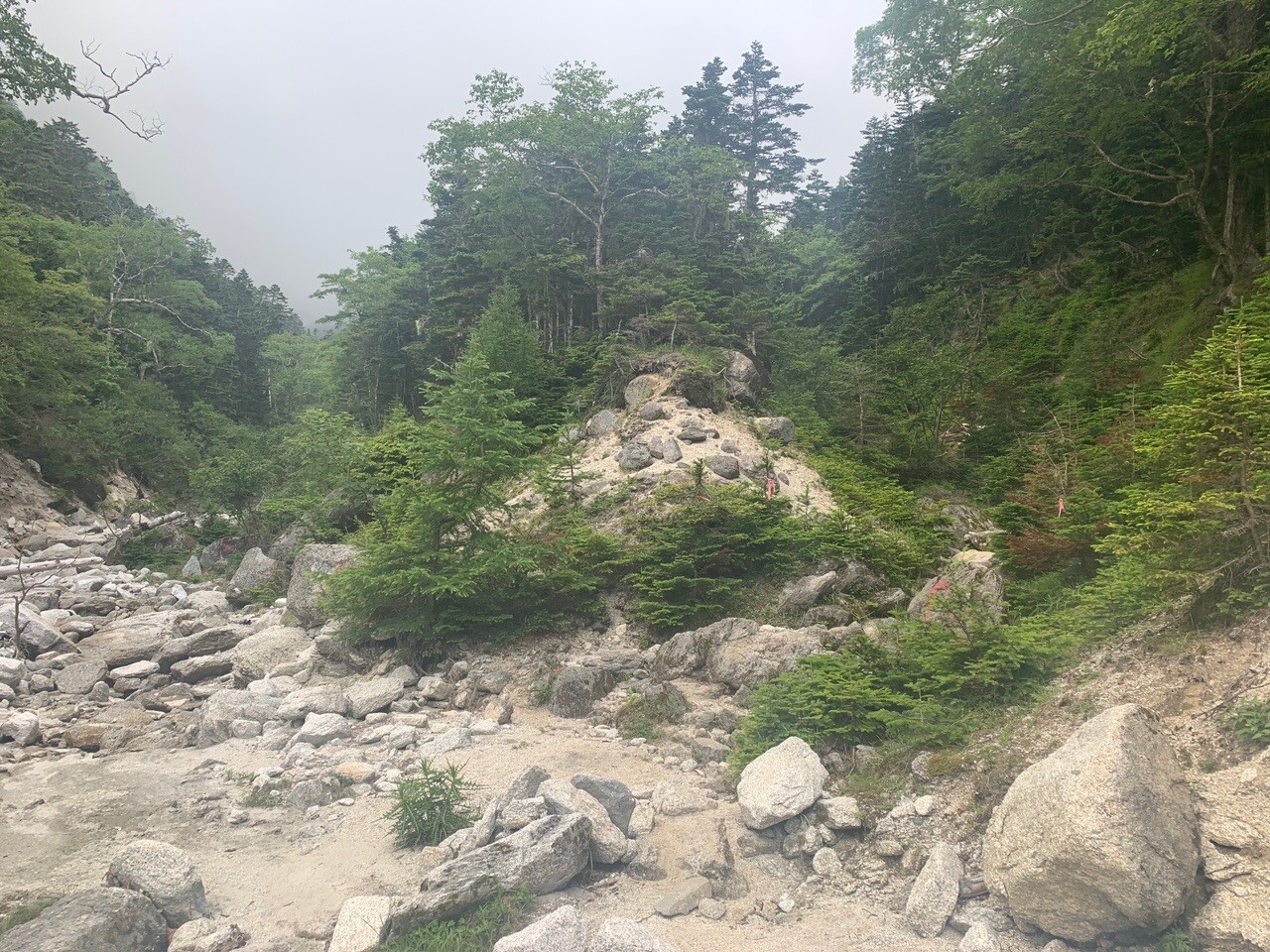 zenさんの投稿したフィールドメモ | YAMAP / ヤマップ