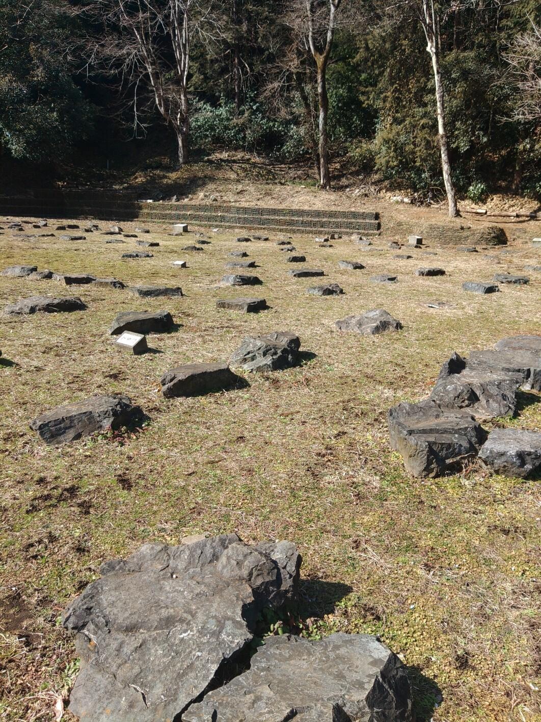 富士山が拝めた北高尾 / KOROさんの高尾山・陣馬山・景信山の活動データ | YAMAP / ヤマップ