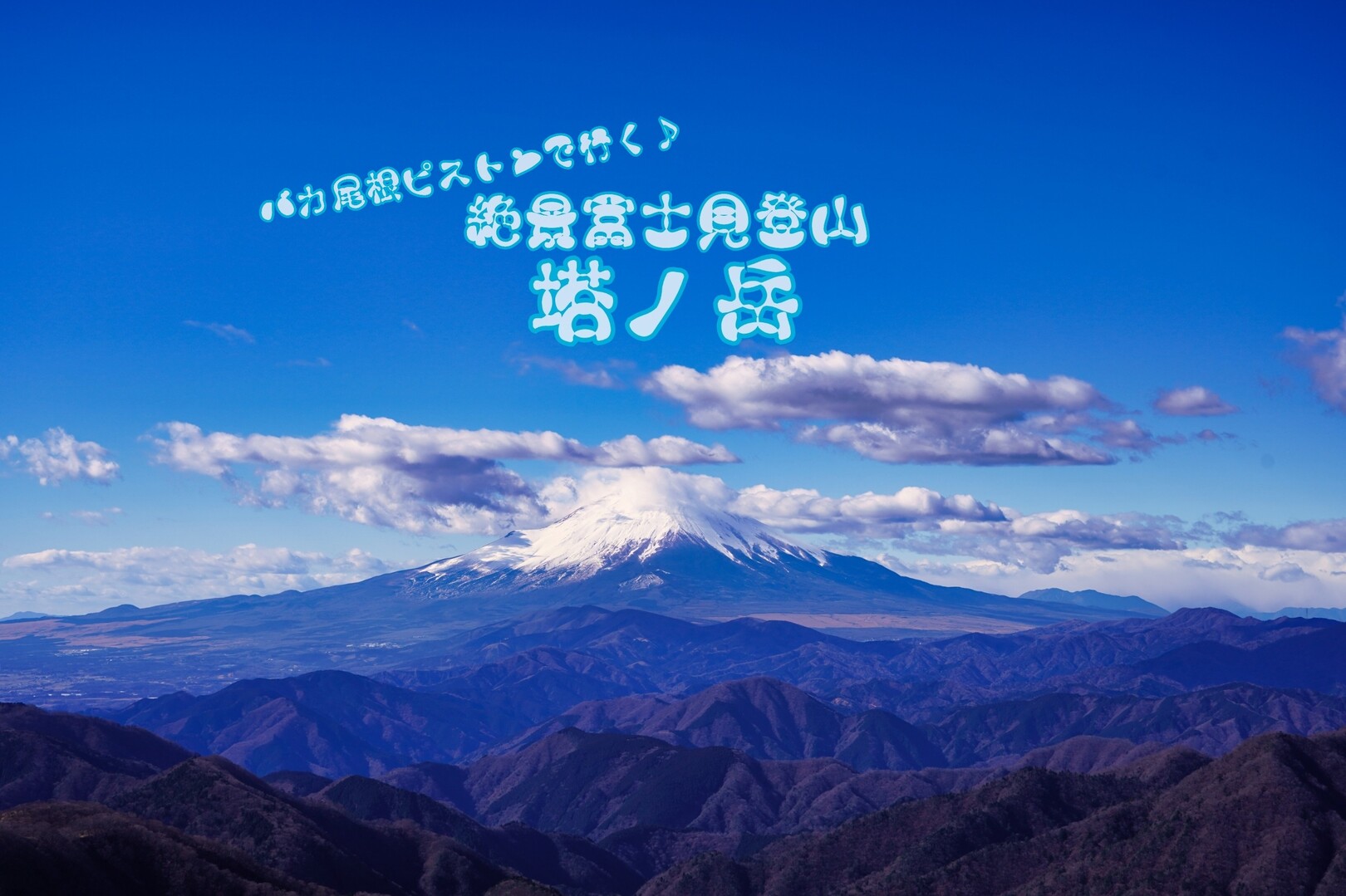 バカ尾根ピストン👣塔ノ岳⛰️ / Riot Kさんの塔ノ岳・丹沢山・蛭ヶ岳の活動データ | YAMAP / ヤマップ
