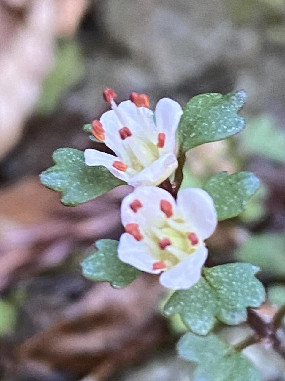 yukaのページ | YAMAP / ヤマップ