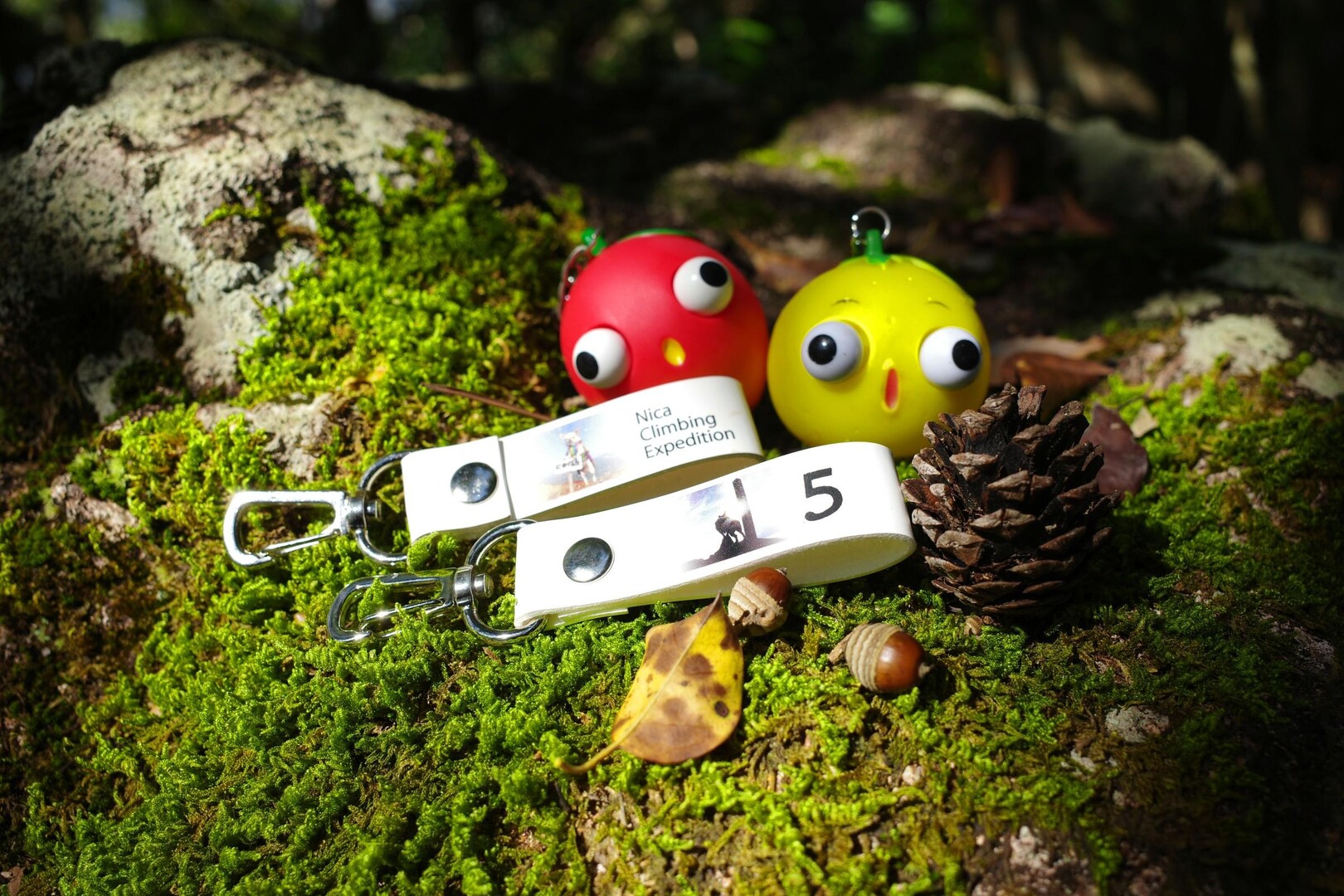 🔰初めての冠岳に😆 / wakky!!さんの冠岳の活動データ | YAMAP / ヤマップ