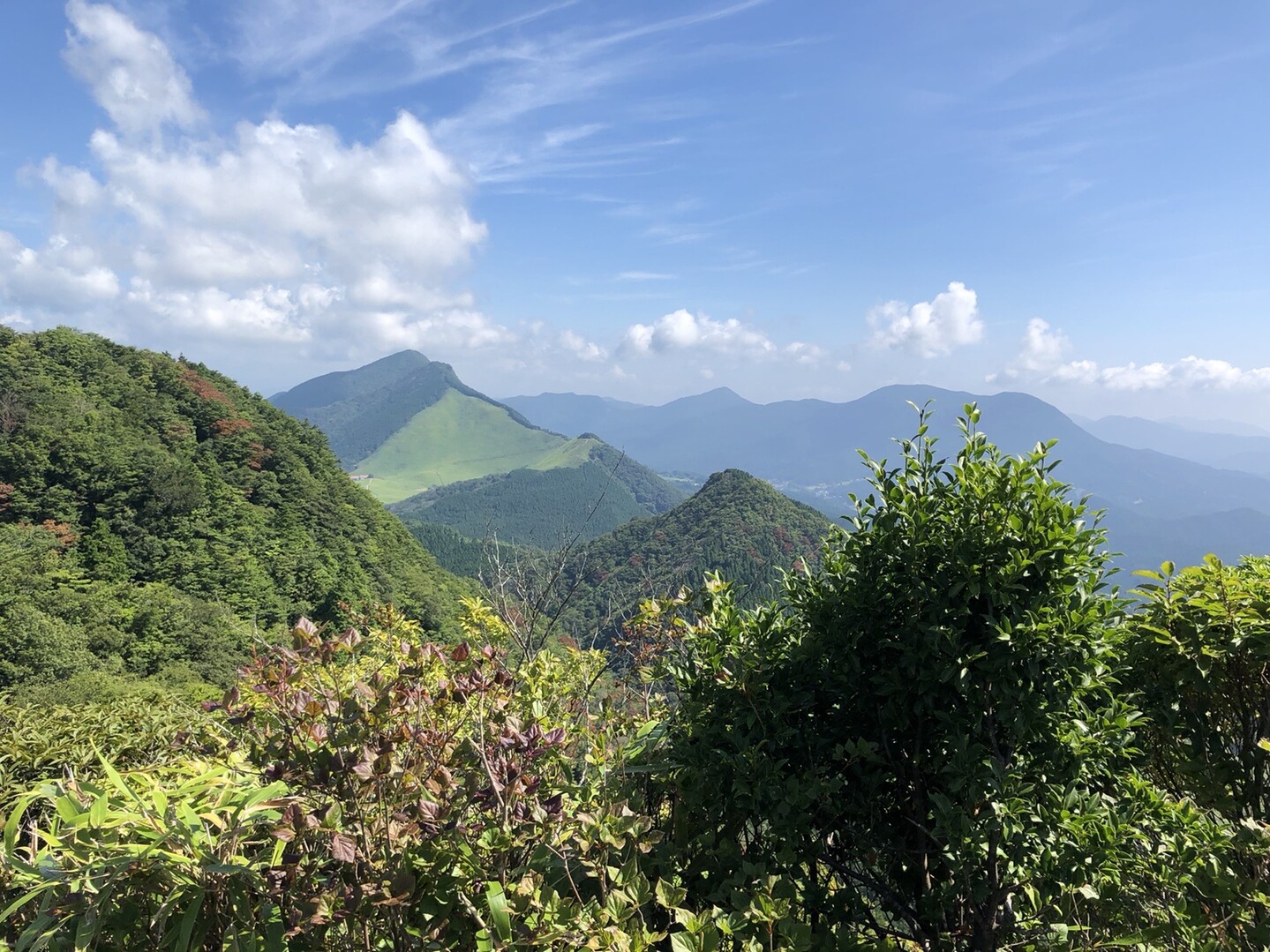 後古光山・古光山・古光山(南峰)・二本ボソ・倶留尊山 / me_guさんの倶留尊山・曽爾高原・古光山の活動データ | YAMAP / ヤマップ