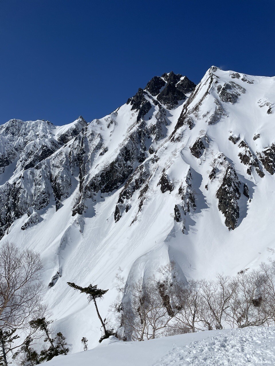 五龍岳 白岳沢BC / Oh shuさんの鹿島槍ヶ岳・五竜岳（五龍岳）・唐松岳の活動データ | YAMAP / ヤマップ