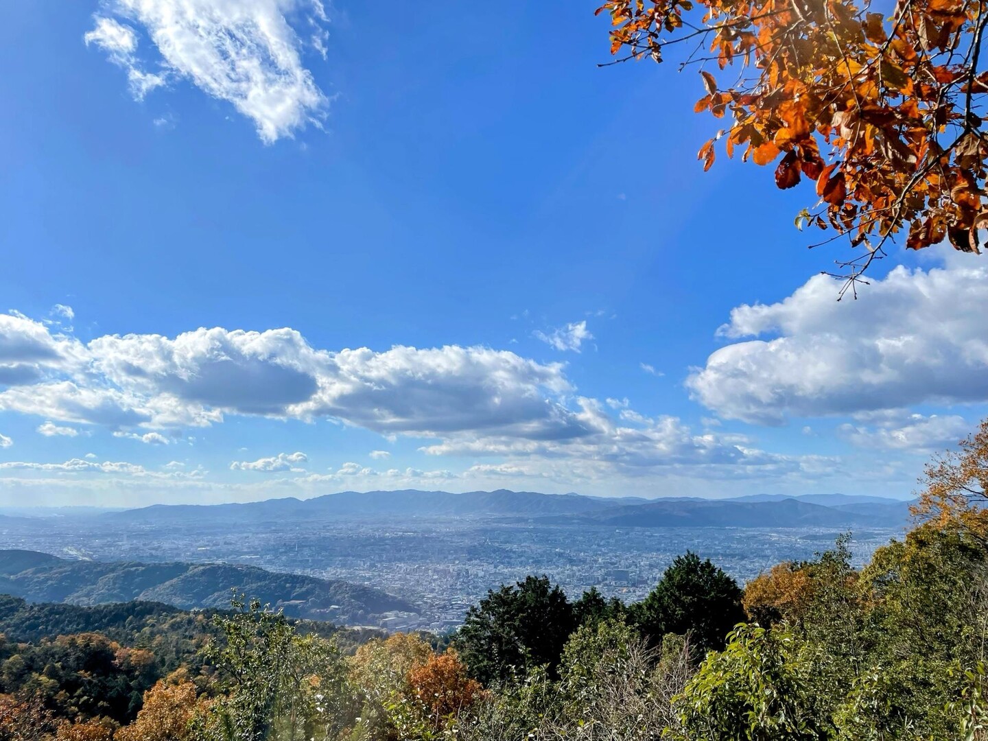 大文字山 / shi −chiさんの大文字山・如意ヶ嶽・稲荷山の活動日記 | YAMAP / ヤマップ