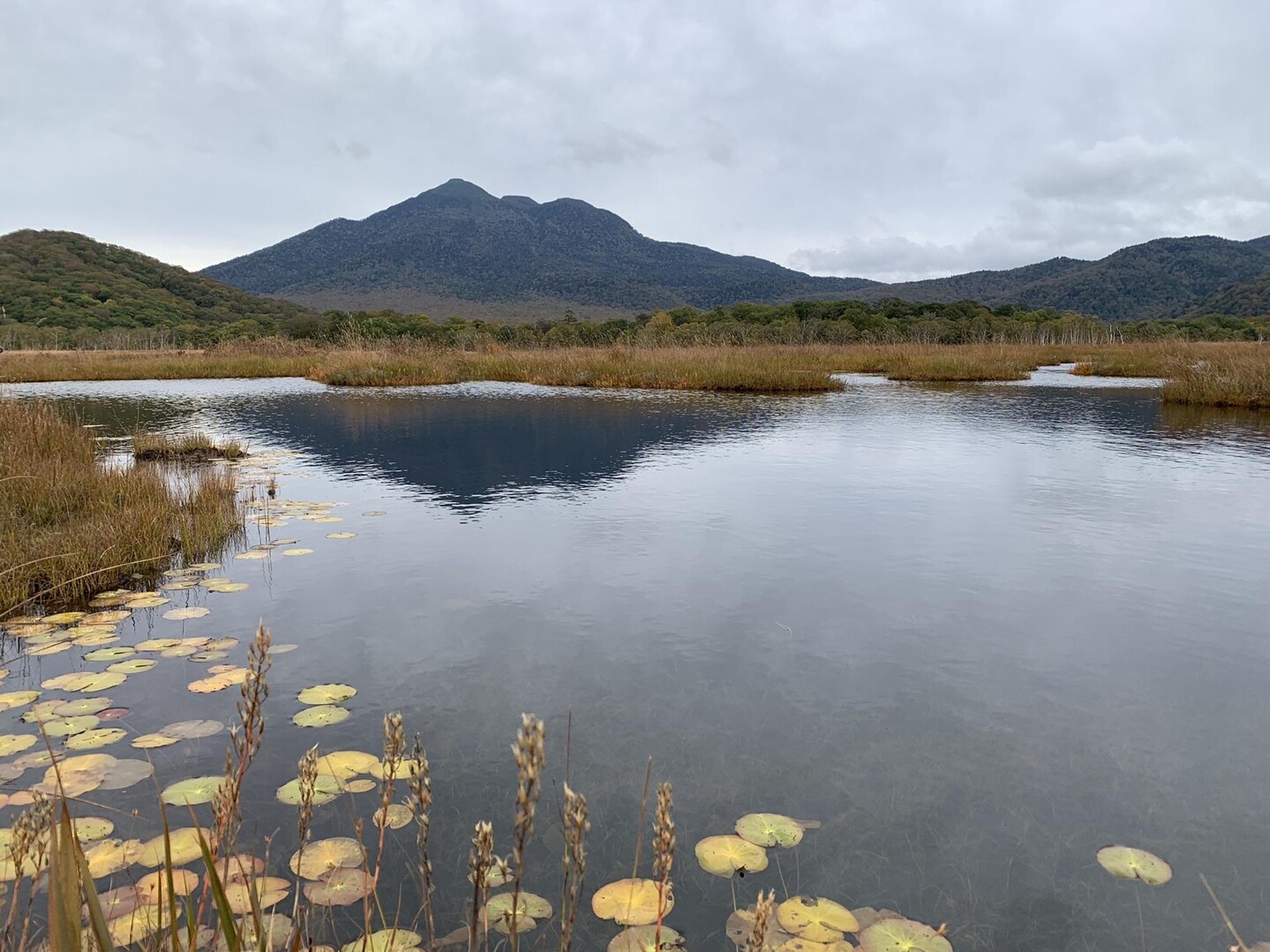 しっとり尾瀬散歩 / cosyauさんの尾瀬・燧ヶ岳の活動データ | YAMAP / ヤマップ
