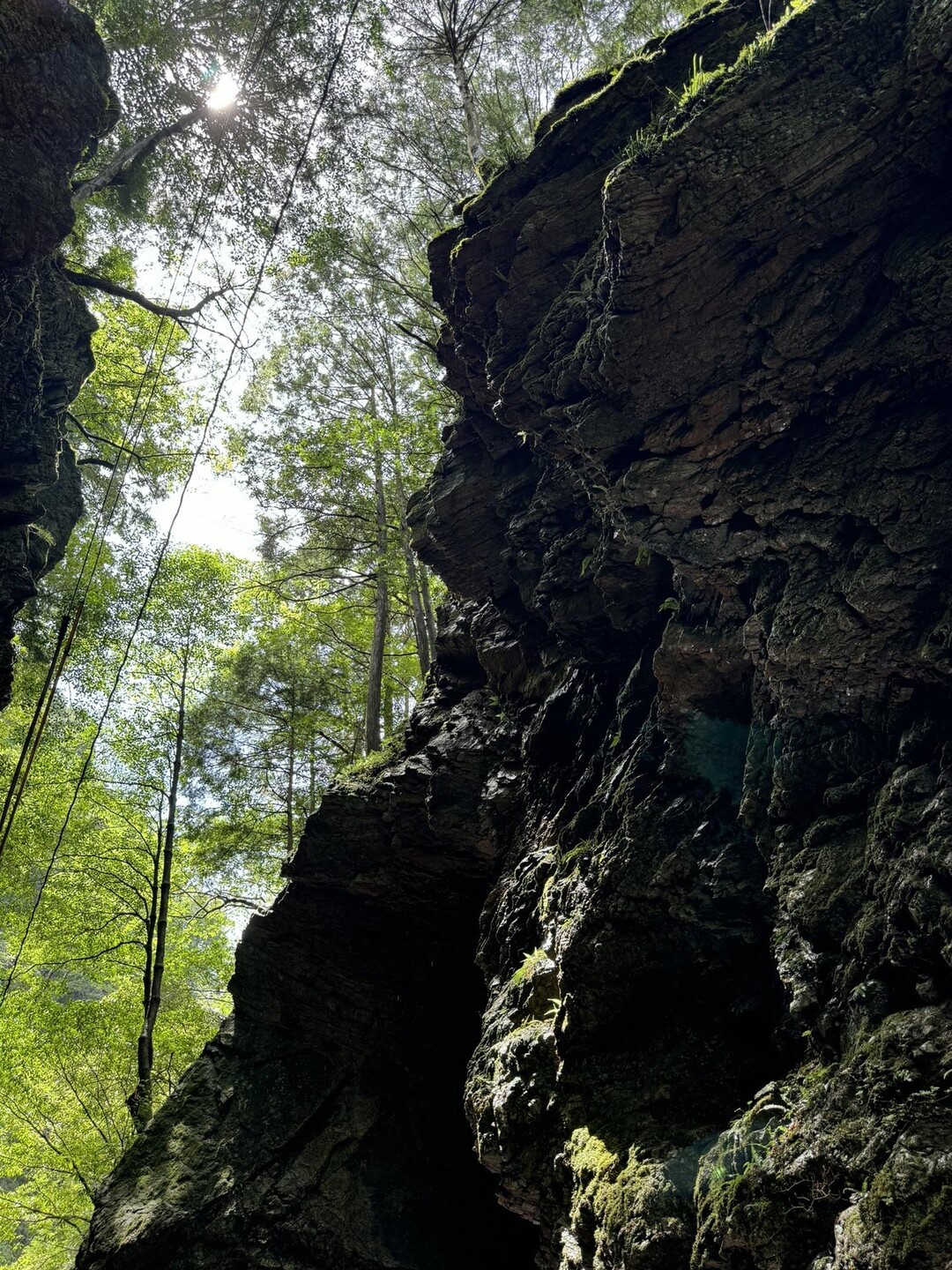 そらふさがり / mizu*kaさんの納古山の活動日記 | YAMAP / ヤマップ