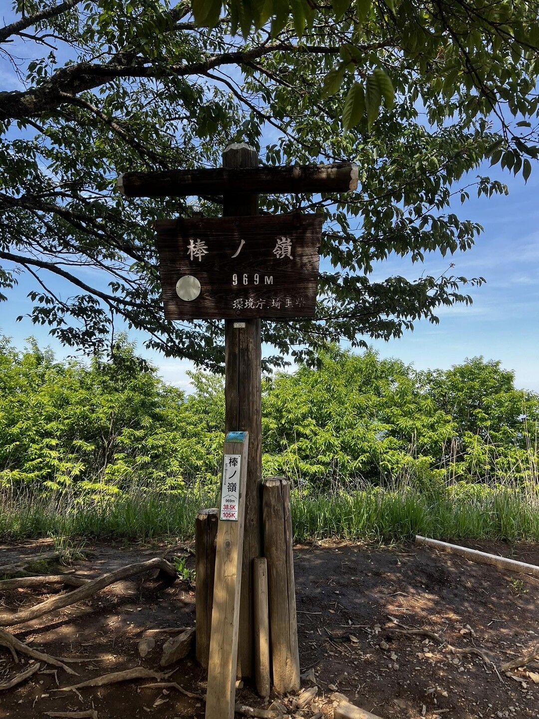 棒ノ嶺（棒ノ折山） / S.OSさんの棒ノ折山（棒ノ嶺）の活動データ | YAMAP / ヤマップ