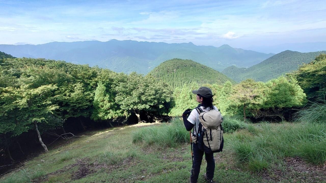 黒峰・トンギリ山から小川岳ギブ🥲 / Shino_530さんの向坂山・三方山・天主山の活動データ | YAMAP / ヤマップ