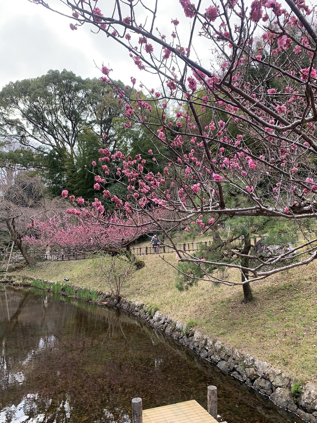 浜松城 少し立ち寄りました / masurinさんのモーメント | YAMAP / ヤマップ