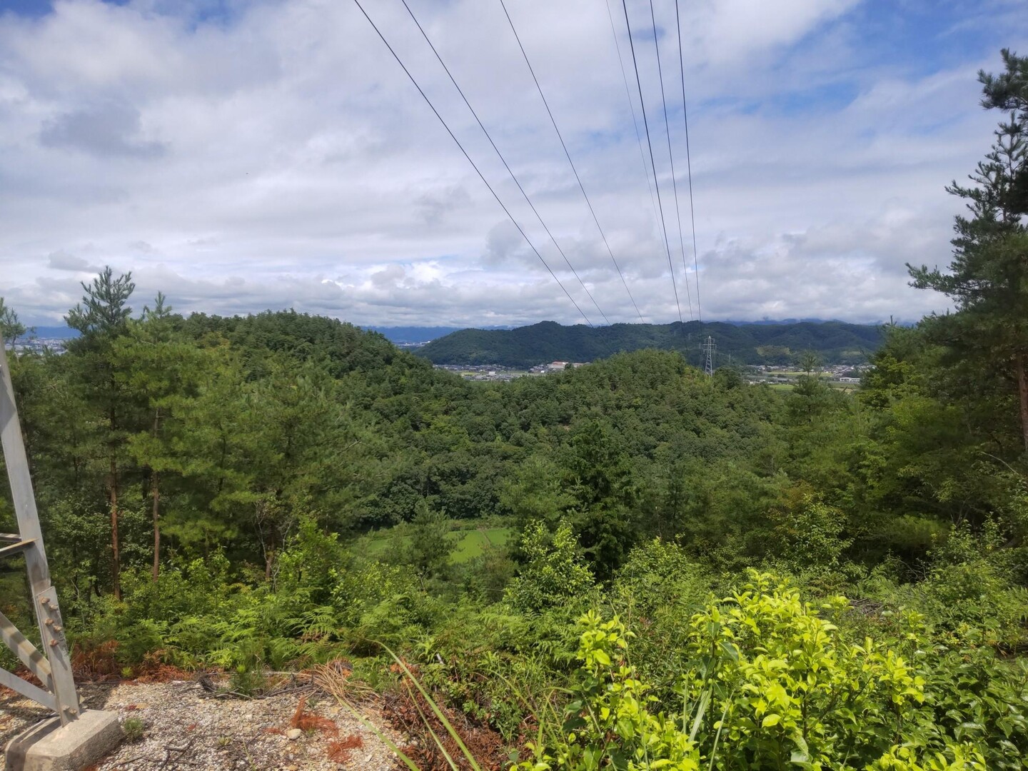 雨上がりの夏のお山歩 P196.4 / Mt.OKA🎃さんの霊仙山の活動データ | YAMAP / ヤマップ