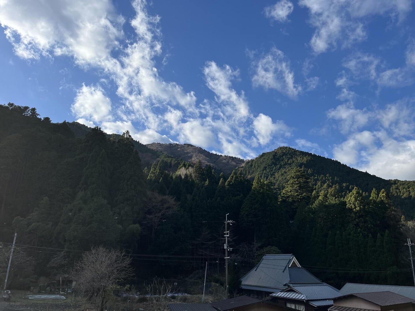 皆子山 / Jimさんの皆子山の活動データ | YAMAP / ヤマップ