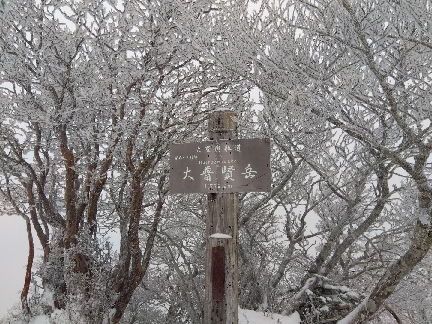 日本岳・小普賢岳・大普賢岳 / chica de montañaさんの観音峯山・大普賢岳・山上ヶ岳・稲村ヶ岳の活動日記 | YAMAP / ヤマップ