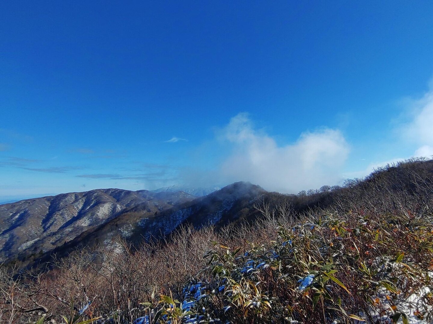 五頭山 登山あるあるだけど、タイミング悪すぎ 46-8 / P-kanさんの五頭山・菱ヶ岳・宝珠山の活動データ | YAMAP / ヤマップ