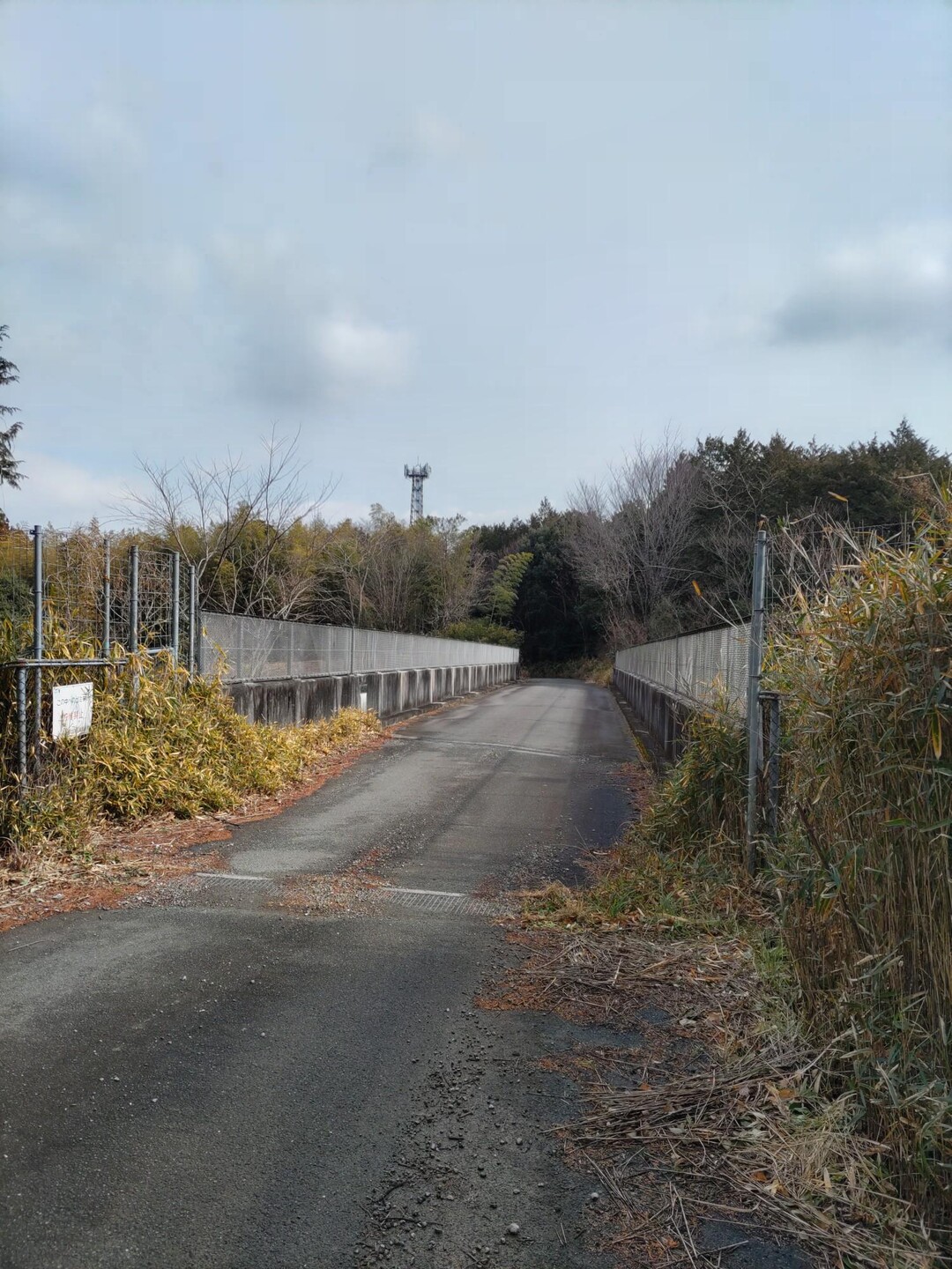 桝形山【312.3m】浄眼寺・白米城橋周回ｺｰｽ / さとちゃんさんの堀坂山・観音岳・桝形山（白米城）の活動データ | YAMAP / ヤマップ