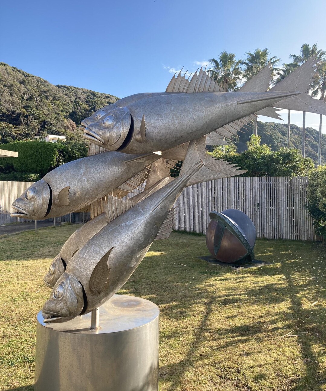 本日 鋸山復興プロジェクトに参加。 前回... / mamoさんのモーメント | YAMAP / ヤマップ