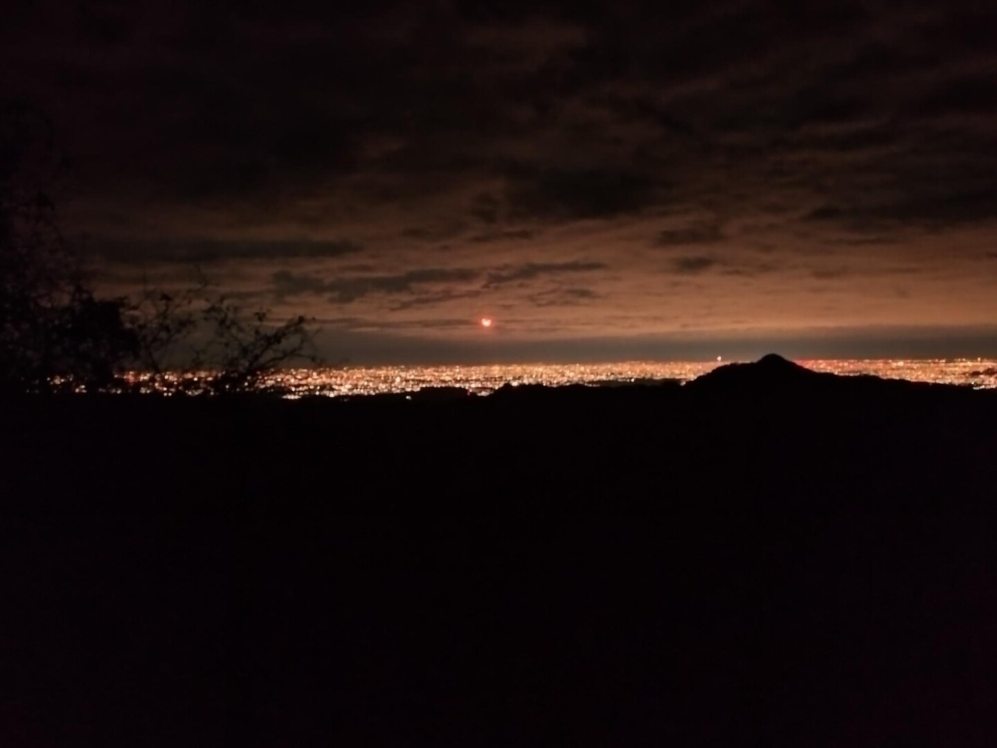 Tokyo100で初の100kmトレラン大会！ / まさきさんの大岳山・御岳山・御前山の活動データ | YAMAP / ヤマップ