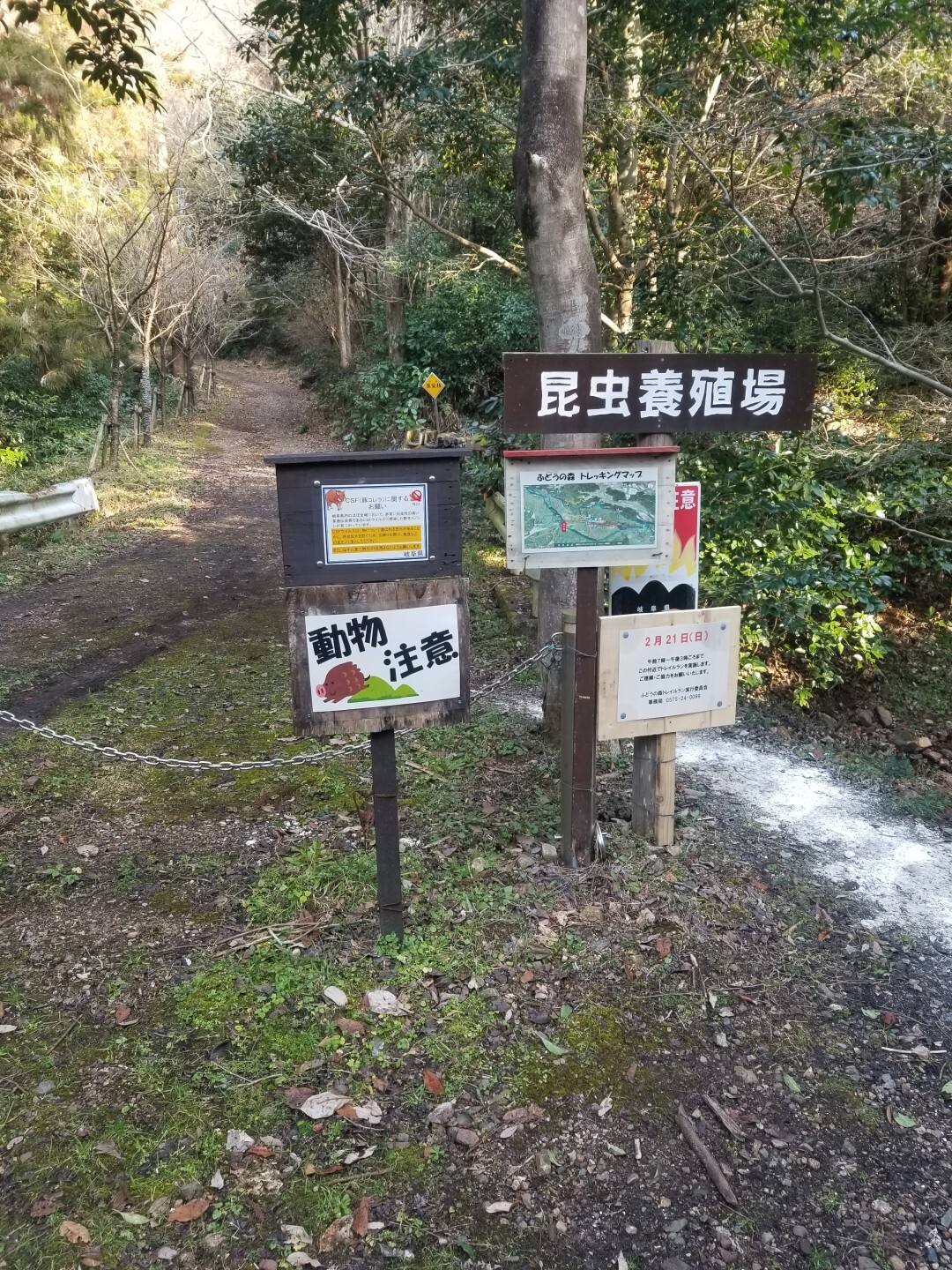 金比羅山・明王山・城山・勝山 / yellさんの各務原アルプス・八木三山の活動データ | YAMAP / ヤマップ