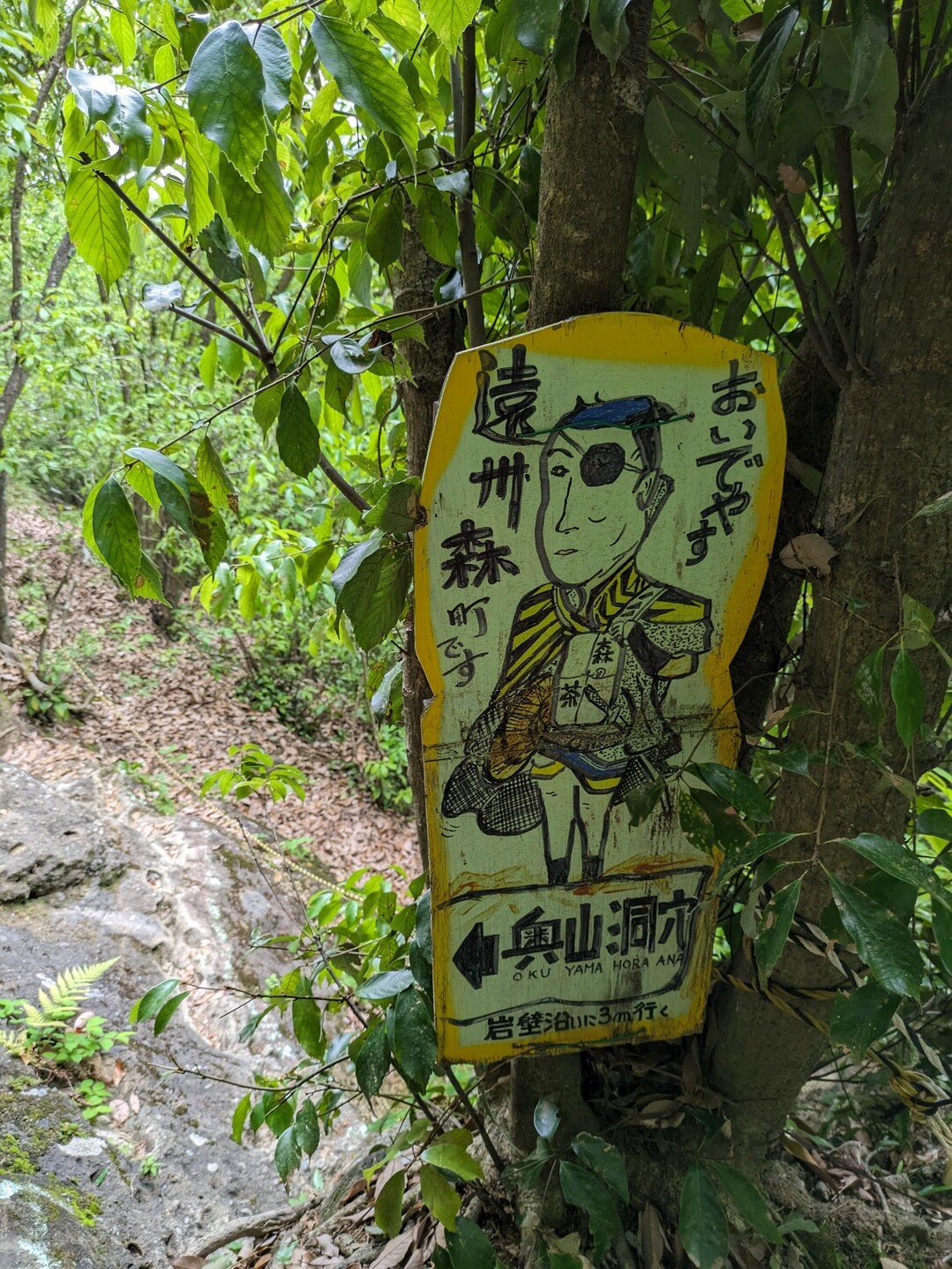 獅子ヶ鼻（岩室山） / AWA-MANさんの獅子ヶ鼻公園の活動データ | YAMAP / ヤマップ