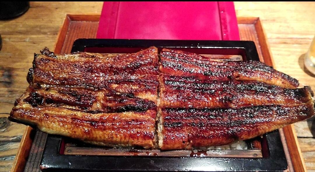 東京ナイト o(^o^)o https:... / HIRO 2020さんのモーメント | YAMAP / ヤマップ