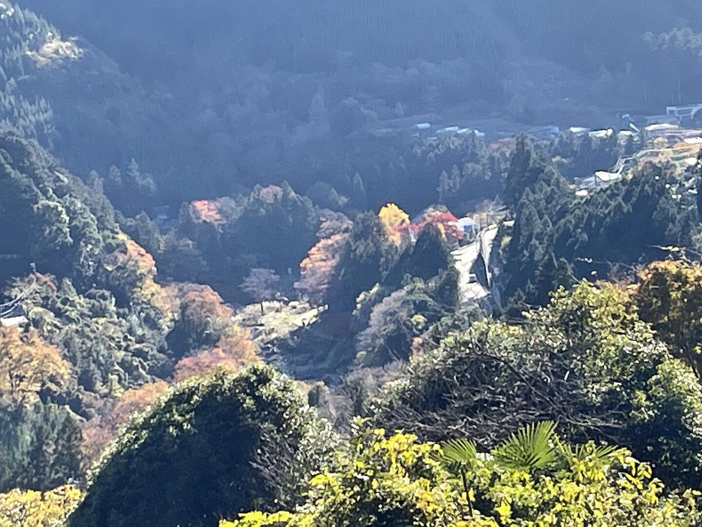 高水山・岩茸石山・馬仏山・惣岳山 / PRO(むーさん)さんの高水山・岩茸石山・惣岳山の活動データ | YAMAP / ヤマップ