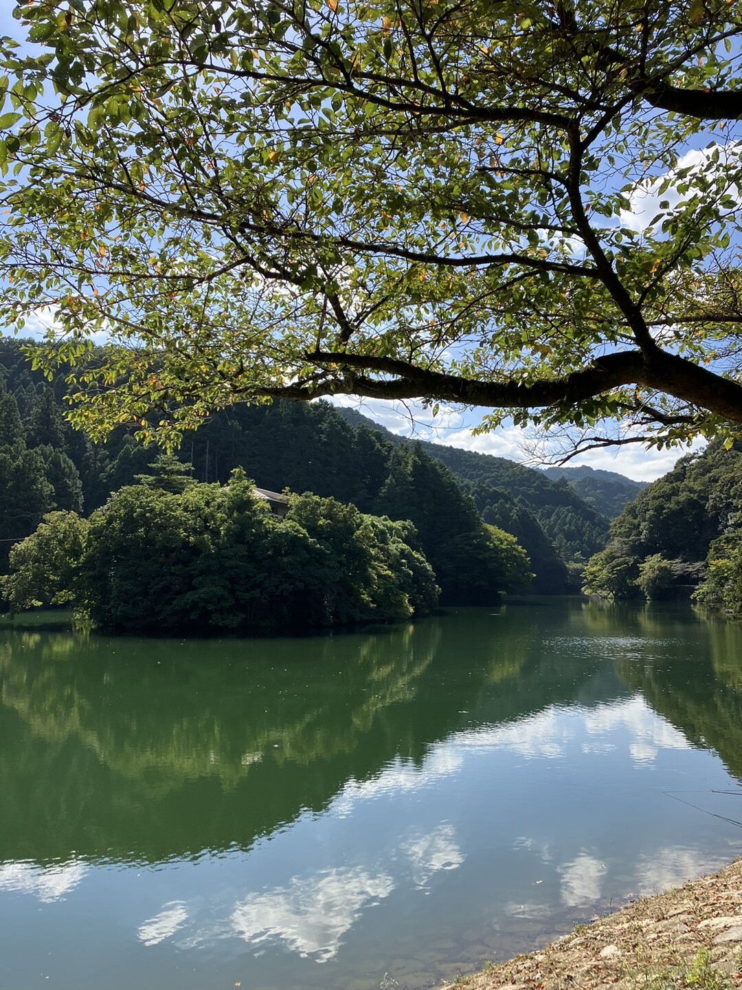 鎌北湖〜物見山 / ROMIさんの日和田山・物見山の活動データ | YAMAP / ヤマップ