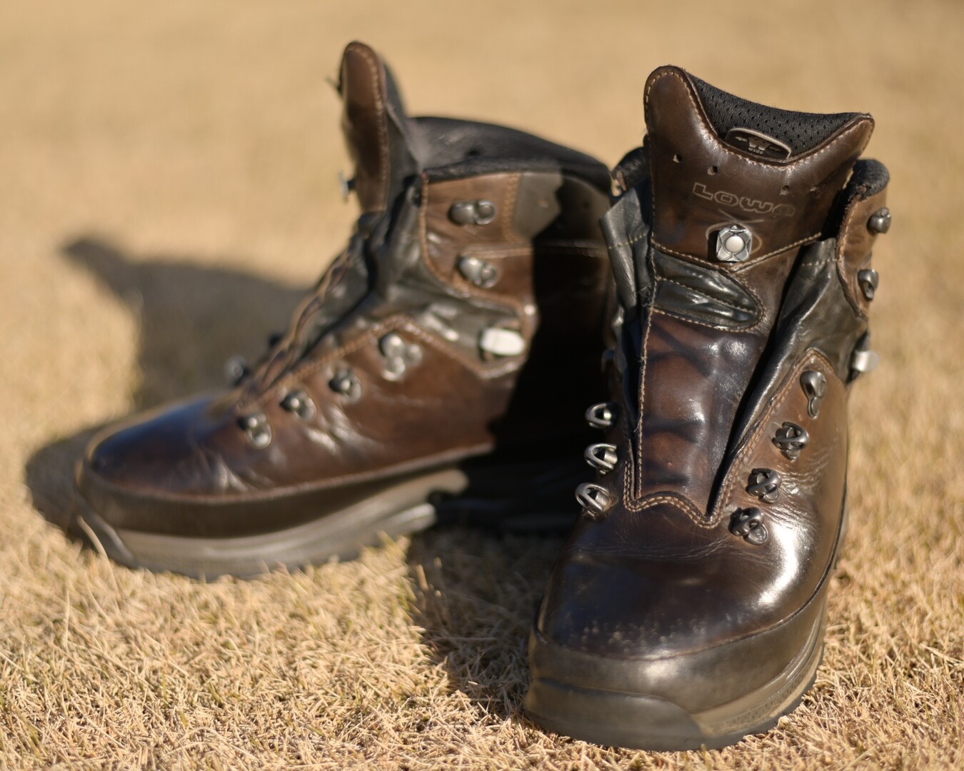 愛用のLOWA TAHOE PRO🥾 ... / うまとろ~さんのモーメント | YAMAP / ヤマップ