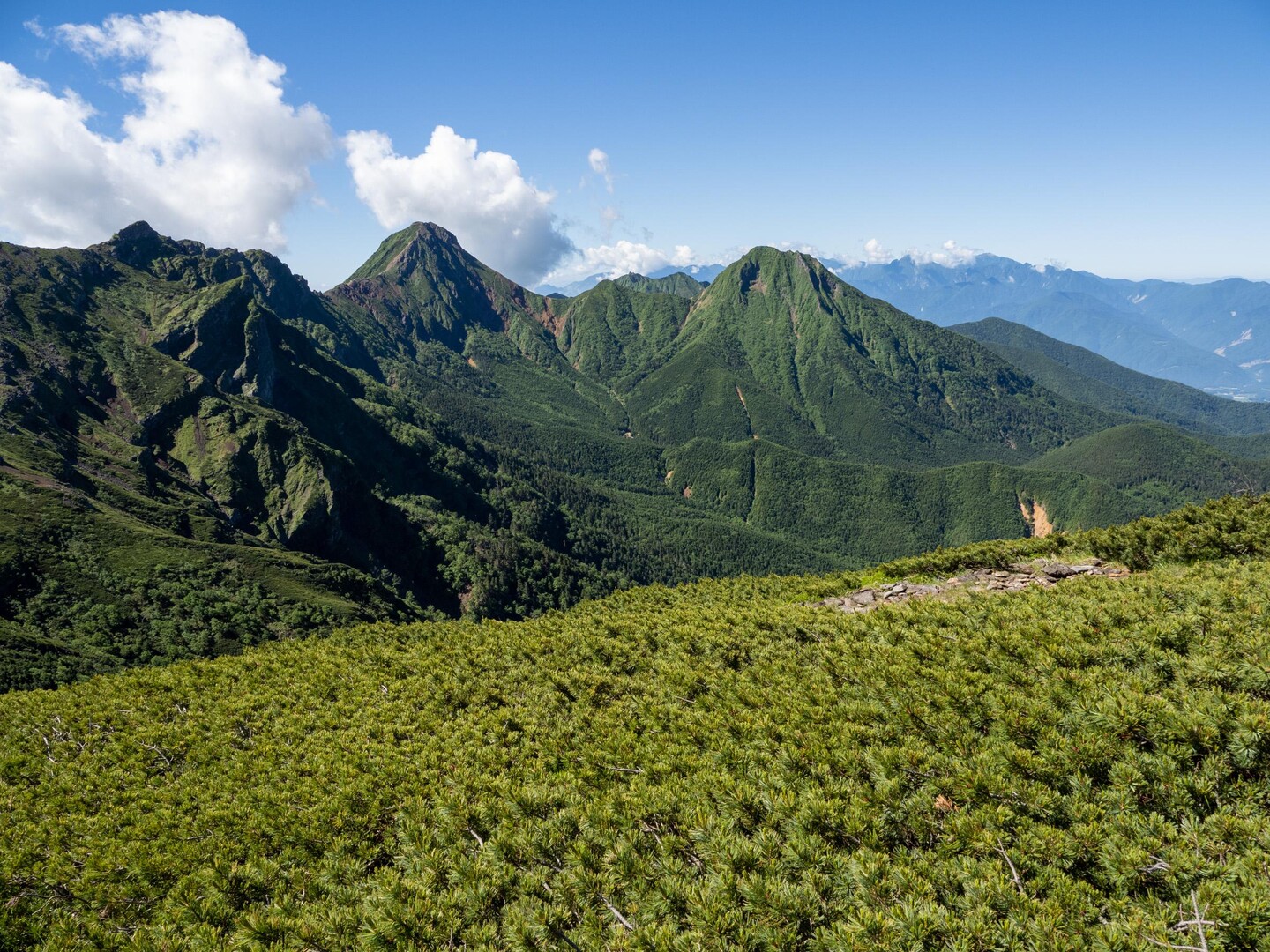 20230716-17阿弥陀岳、赤岳‐横岳-硫黄岳周回 / どぶろくさんの八ヶ岳（赤岳・硫黄岳・天狗岳）の活動データ | YAMAP / ヤマップ