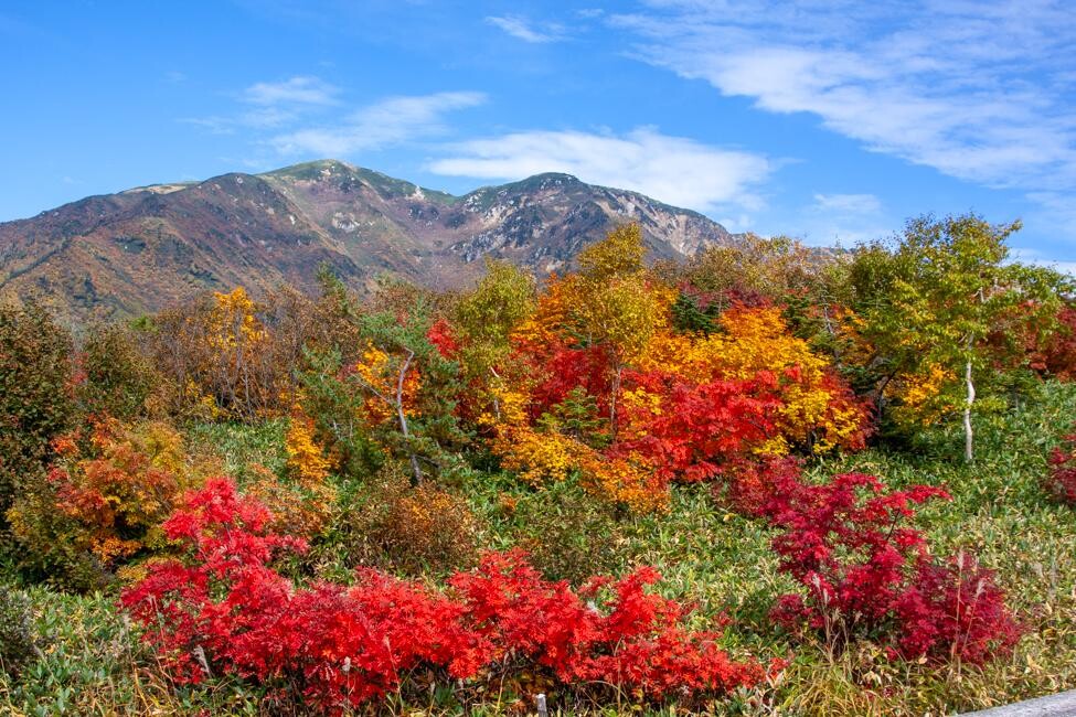 立山 室堂・弥陀ヶ原の紅葉-2023-10-14 / @Shunさんの立山・雄山・浄土山の活動データ | YAMAP / ヤマップ