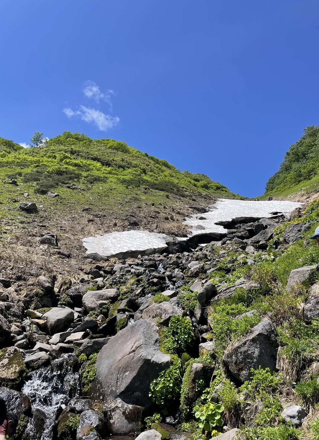 大雪山トレイルジャーニー40km 完走... / kanさんのモーメント | YAMAP / ヤマップ