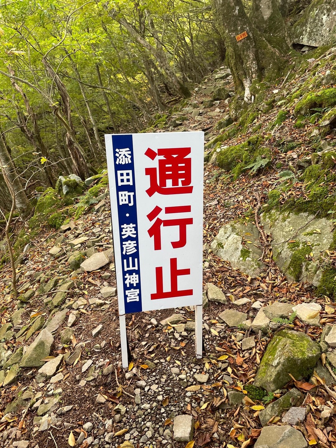 英彦山（中岳）・英彦山(北岳) / たけさんの英彦山の活動データ | YAMAP / ヤマップ