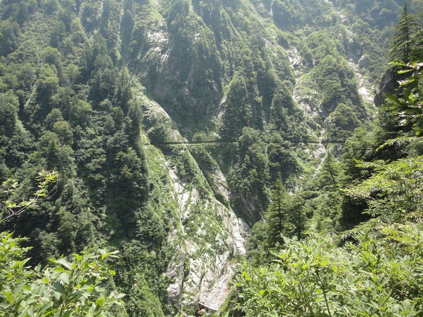 水平歩道 欅平の坂道でカリフォルニアから... / kalo_zzzさんのモーメント | YAMAP / ヤマップ